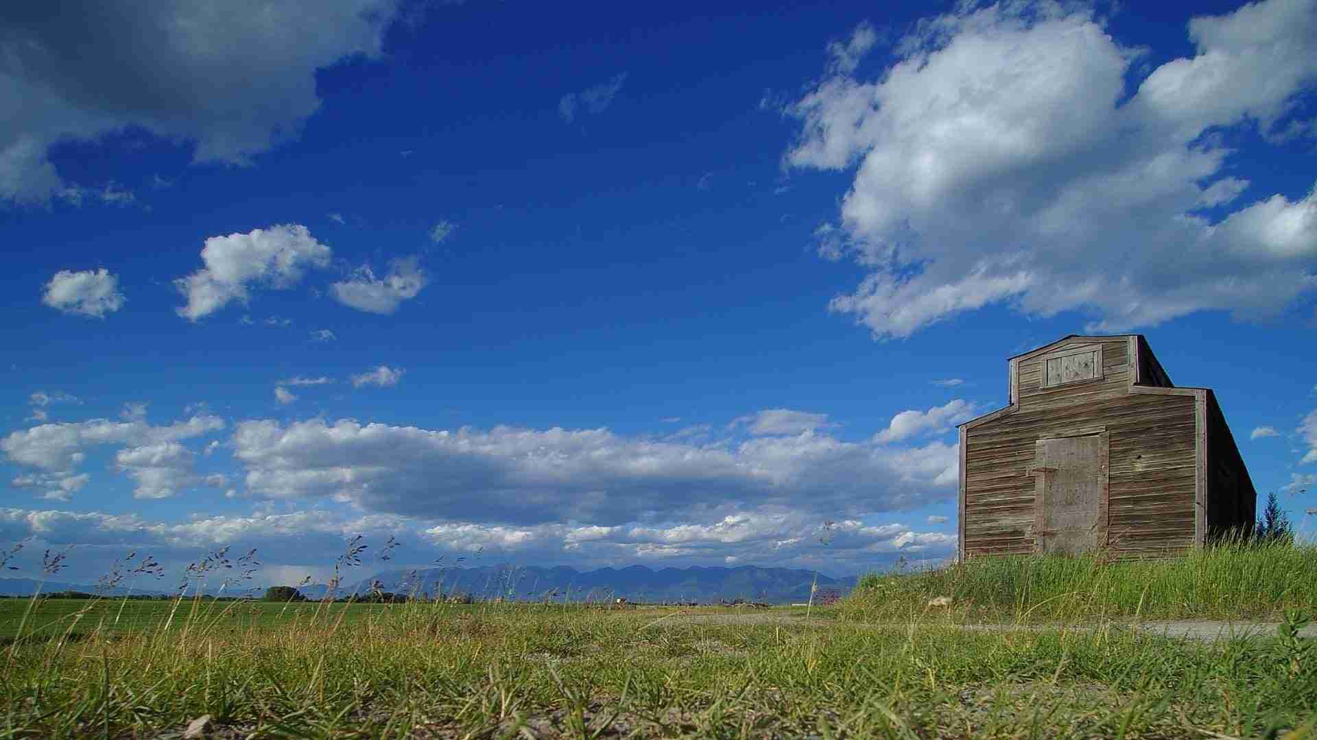 Cooper Farms Development Opportunity : Revel Real Estate