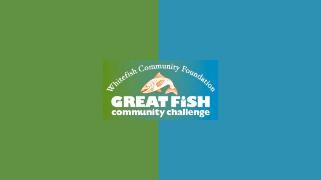 The Great Fish Challenge : Revel Real Estate
