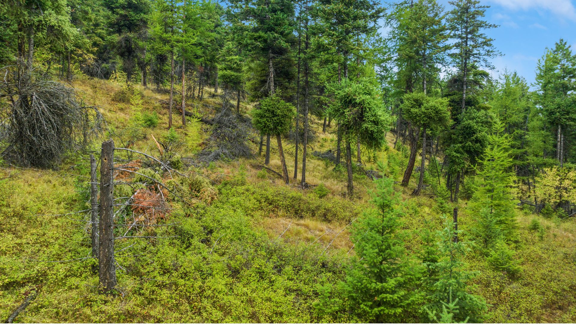 Parked-Out Somers Acreage : Revel Real Estate