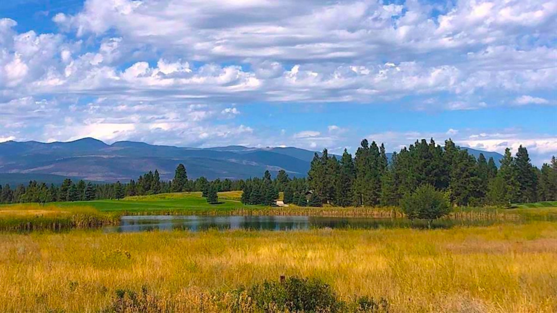 NHN Glacier Peaks : Revel Real Estate